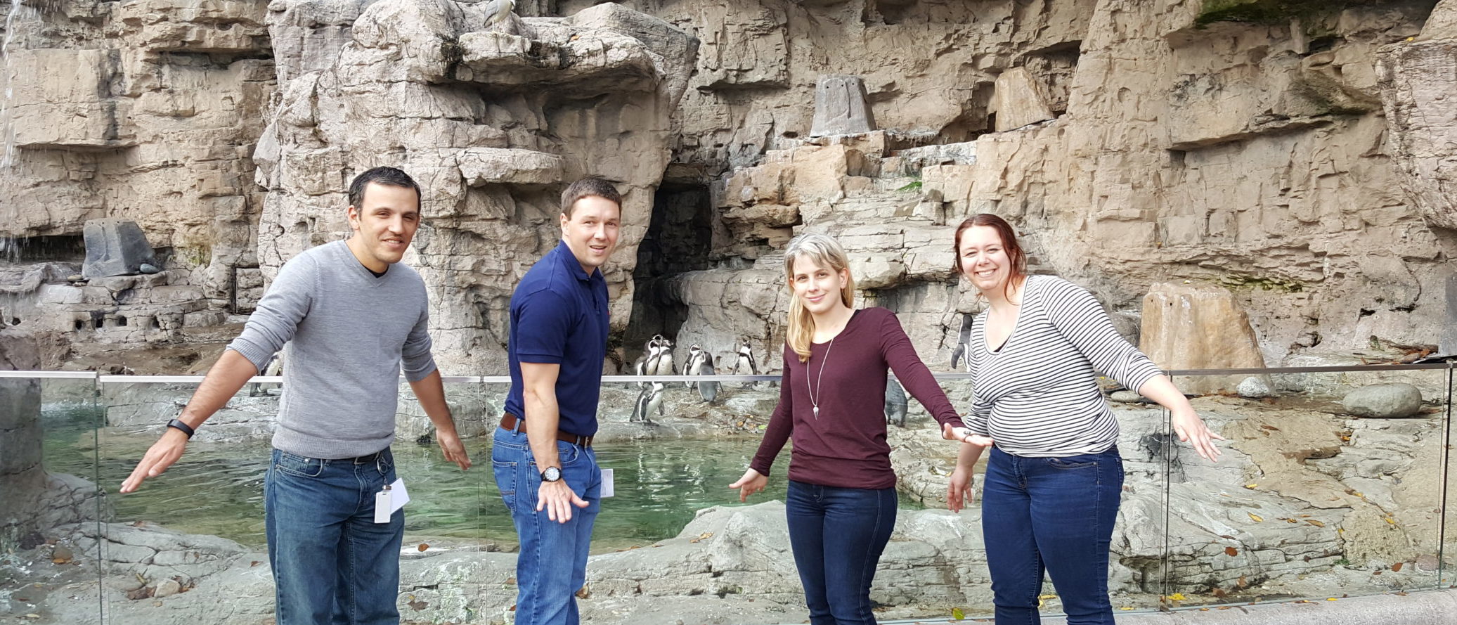 Team-Building Activities | St. Louis Zoo Scavenger Hunts